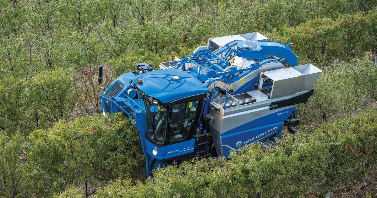 CAPACITÉS | Prestations R&D | États de l'art | Étude de faisabilité | POC