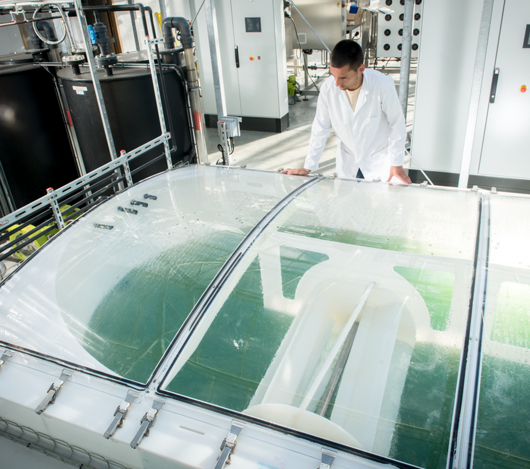 Decarbonization | Reduce your CO₂ emissions thanks to microalgae